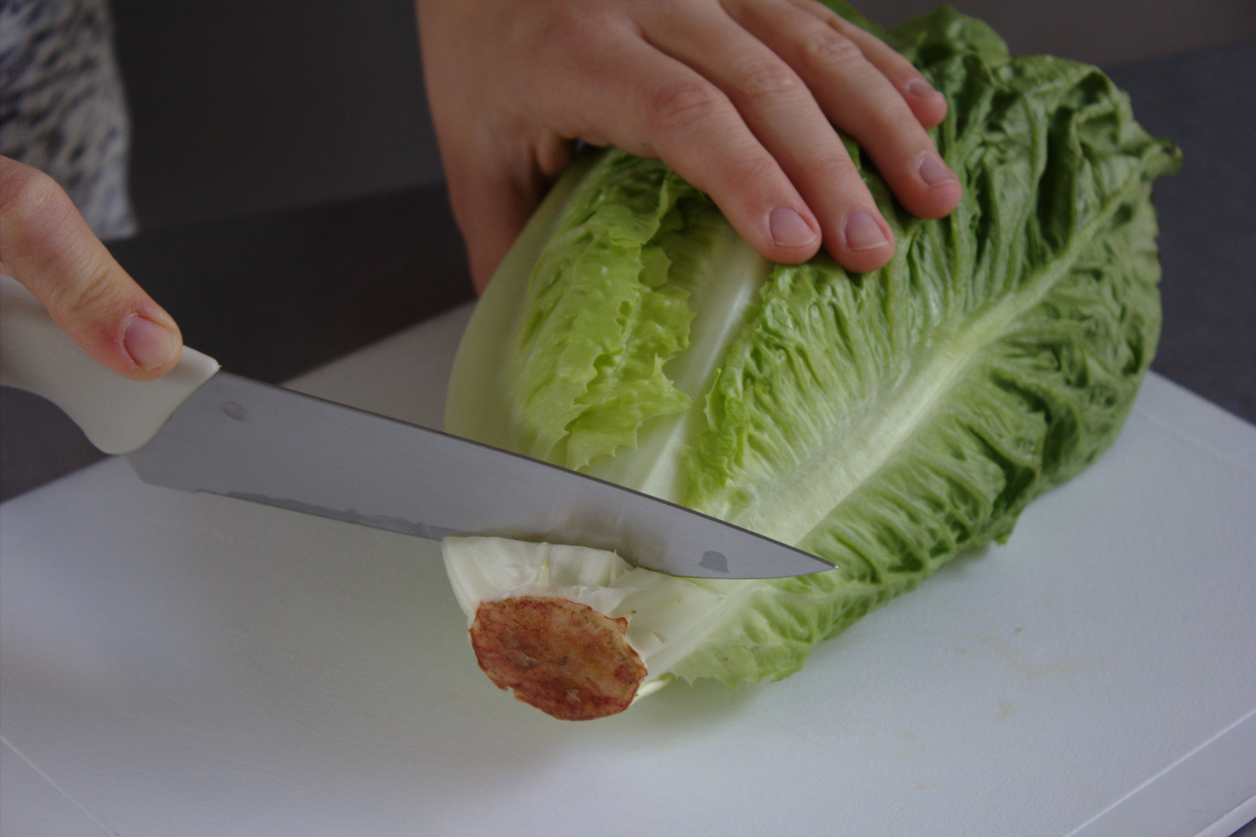 Tips & tricks: Romaine sla | HelloFresh Food Blog