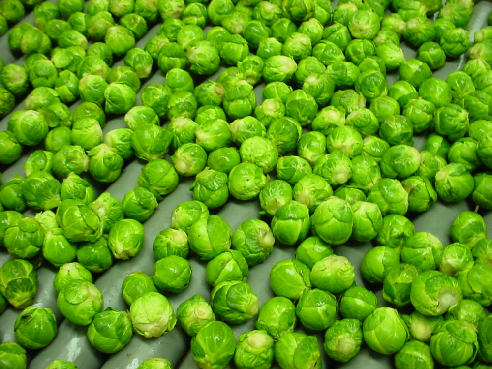 Ingrediënt van de week: spruitjes | HelloFresh Blog